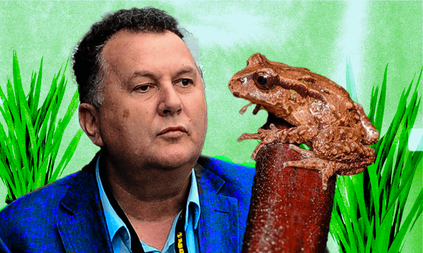 Shane Jones versus The Frog | The Spinoff