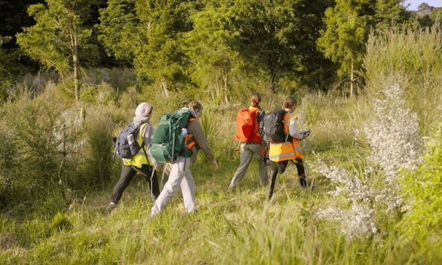 We’re going on a bat hunt | The Spinoff