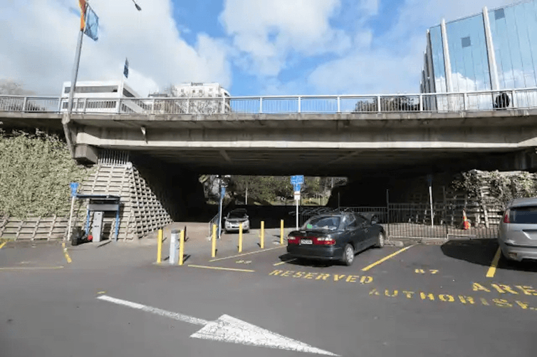 Waimahara: Myers Park and the reindigenisation of central Auckland ...