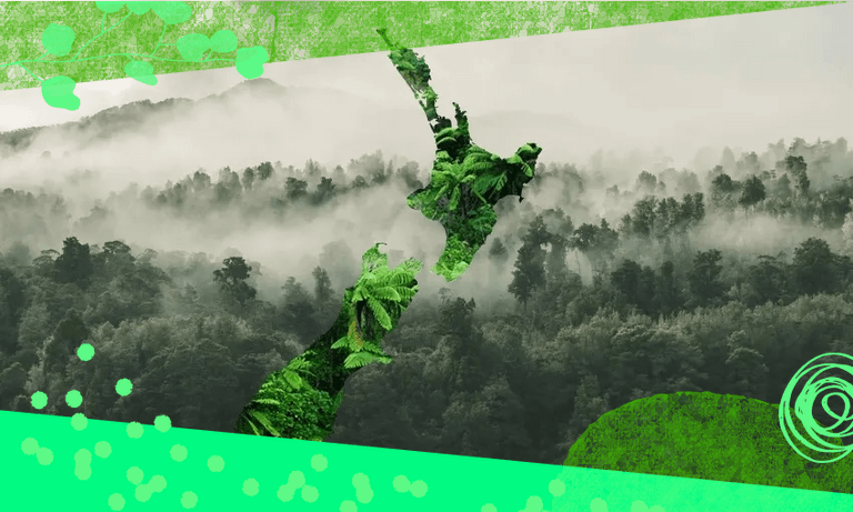 An ambitious vision for rewilding New Zealand | The Spinoff