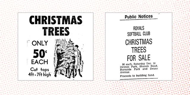 The rising price of real Christmas trees | The Spinoff