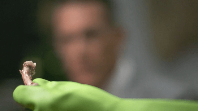 ‘Hello, big boy’: Everything you missed from the return of Breakfast ...