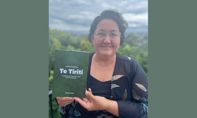 A Te Tiriti reading (and watching and listening) guide | The Spinoff