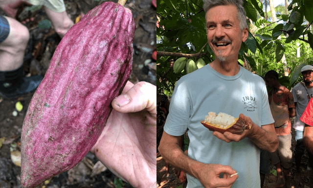 Is this the start of New Zealand’s craft chocolate boom? | The Spinoff