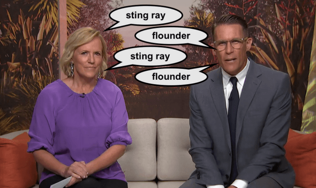 ‘Great rig’: Everything you missed from the return of Seven Sharp | The ...