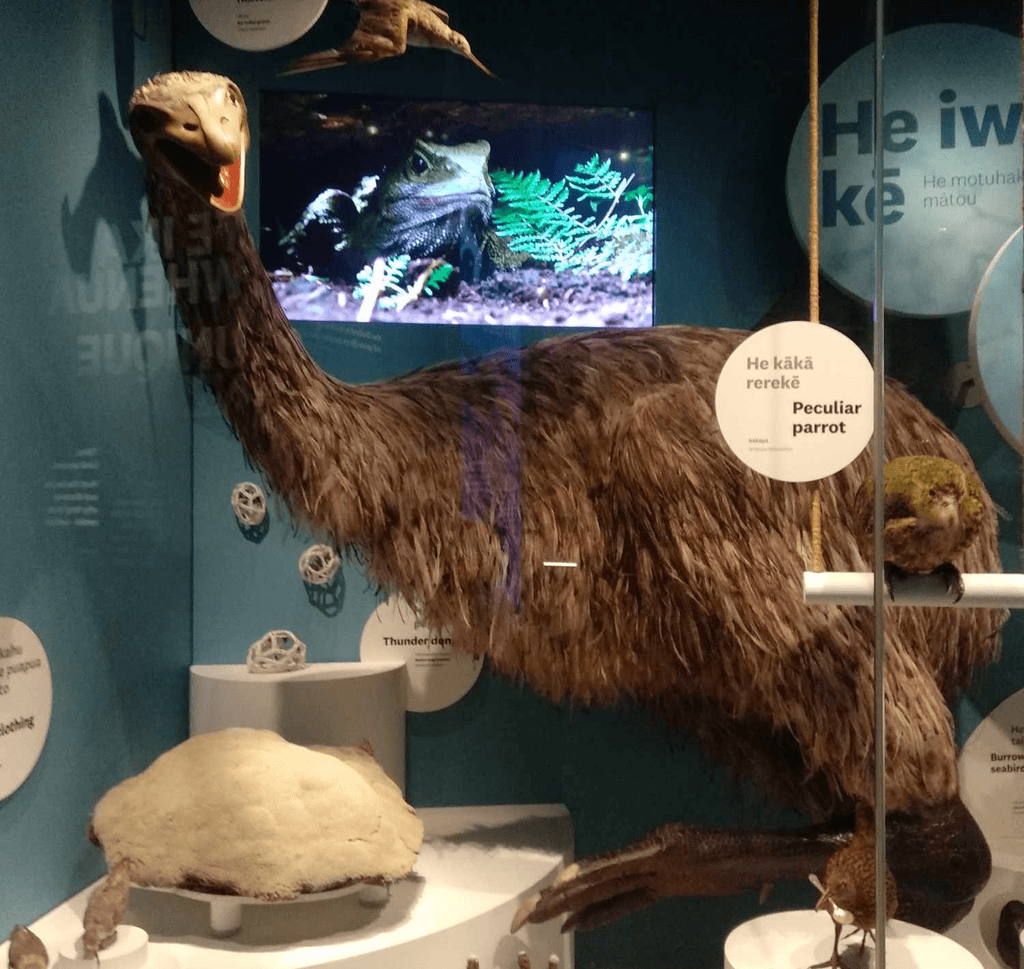 The ultimate list of things to heist from Wellington museums | The Spinoff