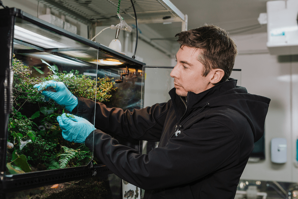 From ‘cleaning and butchering’ to nurturing native frogs: What it’s ...