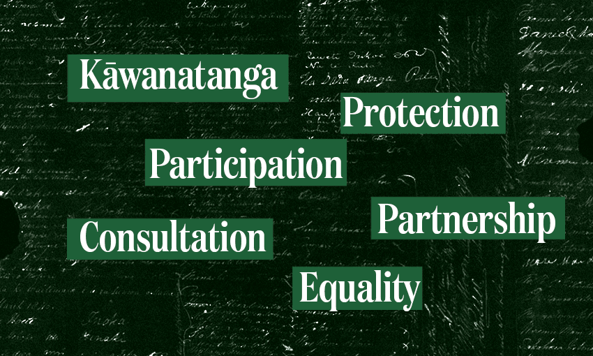 The principles of the Treaty of Waitangi, explained | The Spinoff