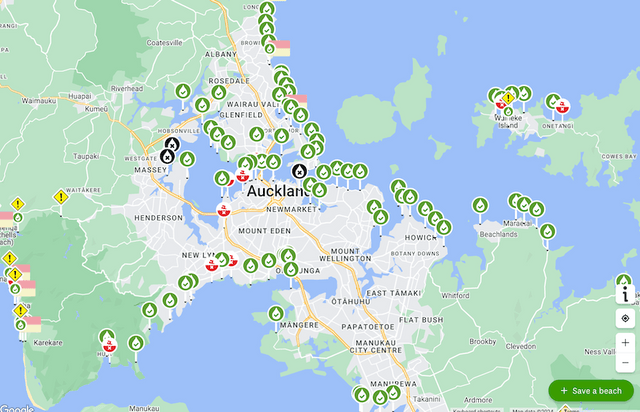 A trip to the beach with the poo detectives | The Spinoff