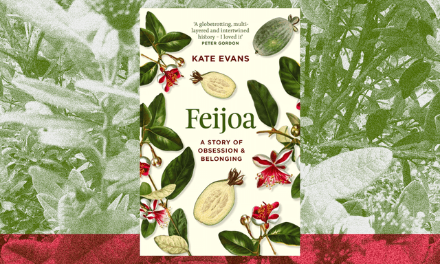 A short history of my love affair with feijoas | The Spinoff
