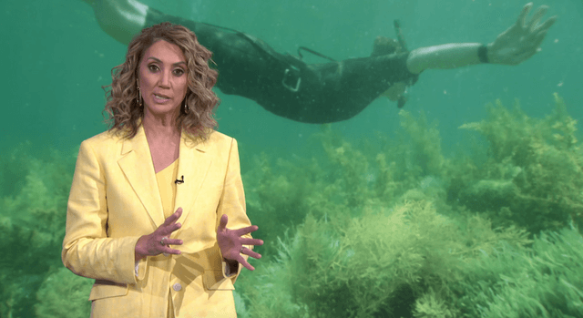 What we stand to lose without Fair Go and Sunday in our lives | The Spinoff