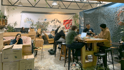 All of the Raglan Roast cafes in Wellington, ranked from worst to best ...