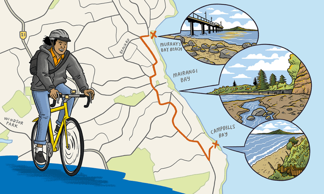 Two wheels, to where? Exploring the North Shore by bike | The Spinoff