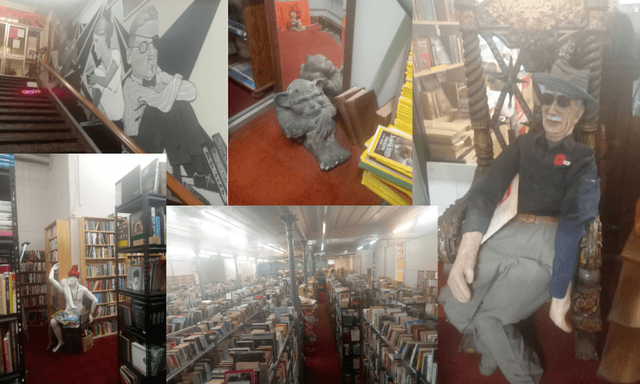 Dunedin’s secondhand bookshops, ranked and reviewed | The Spinoff