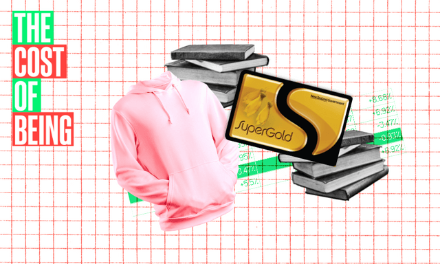 The cost of being: A SuperGold Card holder on solar power | The Spinoff