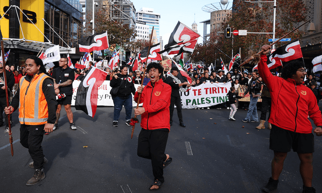 Could dropping reo Māori names from government agencies actually be ...