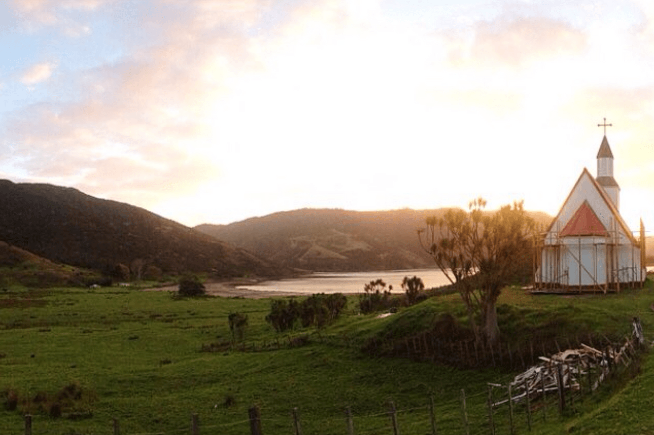 The mana of digging a grave | The Spinoff