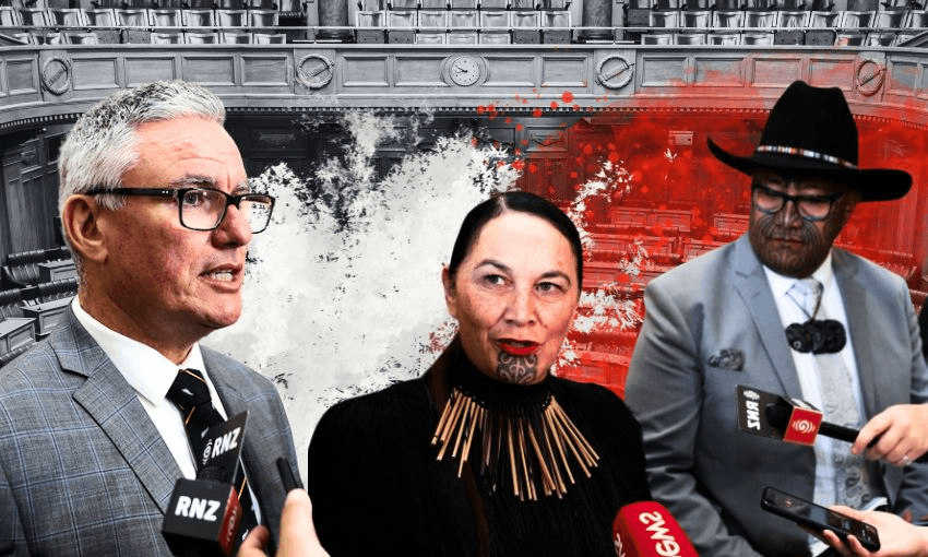 A brief history of te reo Māori in parliament | The Spinoff