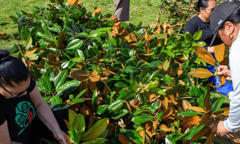The shade in the shadow of Taupiri maunga | The Spinoff