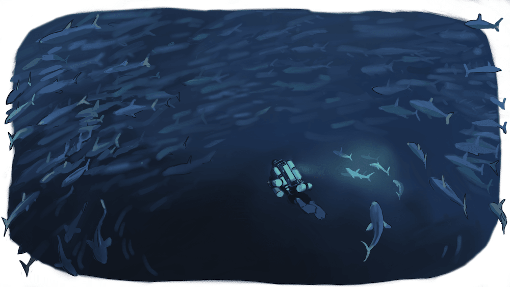 The deep allure of the RMS Niagara, one of New Zealand’s most notorious ...