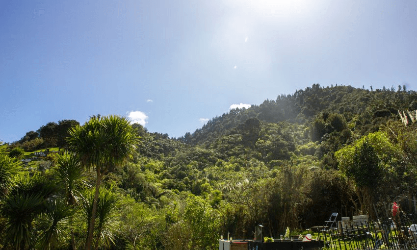 The shade in the shadow of Taupiri maunga | The Spinoff