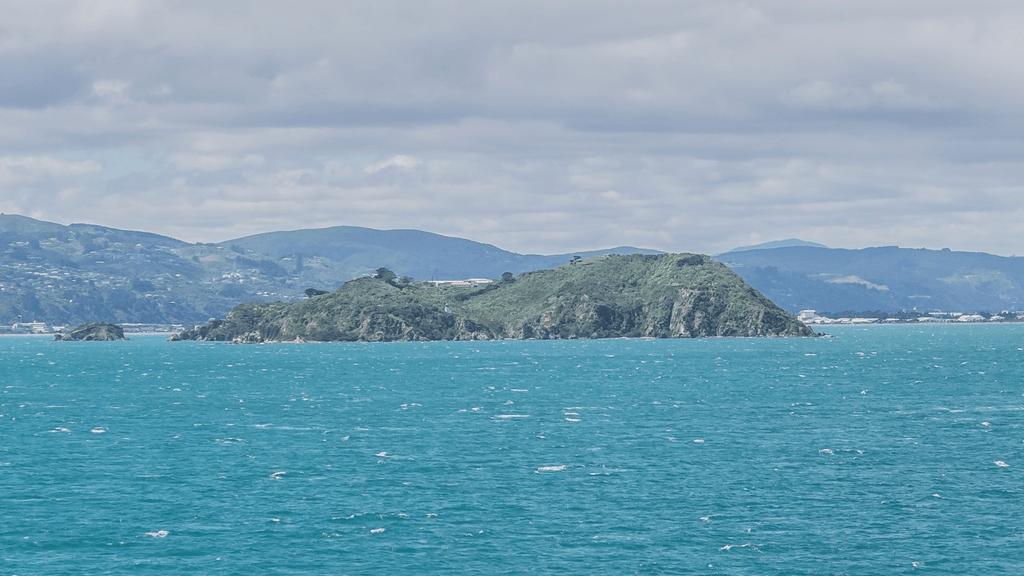 The first Wellingtonian | The Spinoff