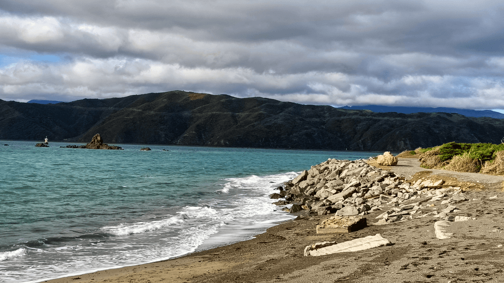 The first Wellingtonian | The Spinoff