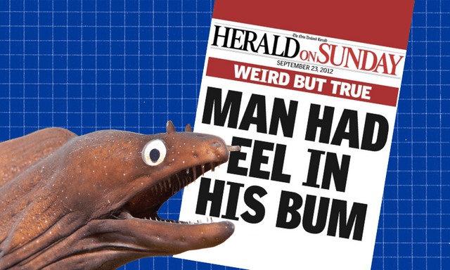 ‘Man had eel in his bum’: Remembering the story that almost broke the ...
