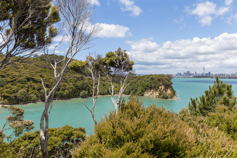 Screw it, build Wayne Brown’s weird bridge | The Spinoff