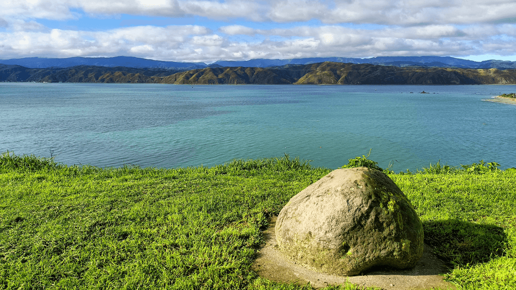 The first Wellingtonian | The Spinoff