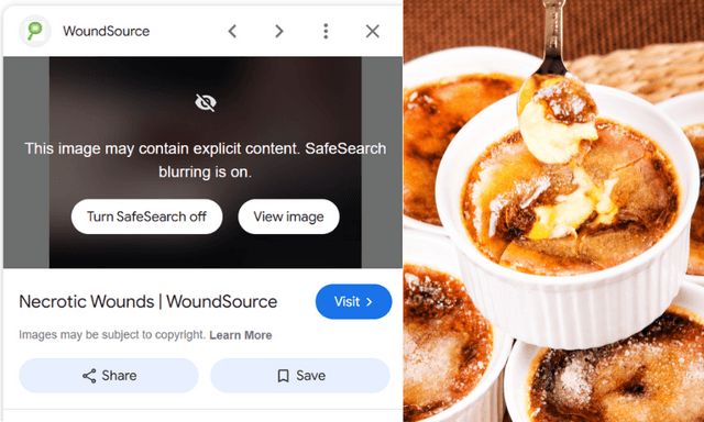 White-tailed spiders: Innocent scapegoat or dangerous super-pest? | The ...