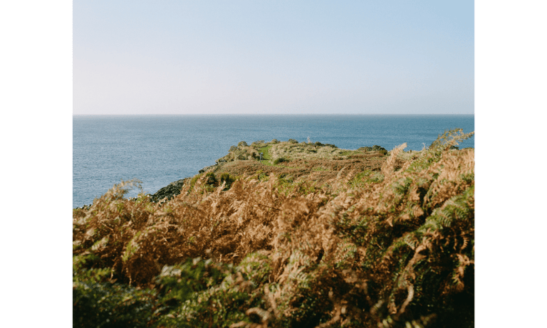 The breath out: Kataraina by Becky Manawatu, reviewed | The Spinoff