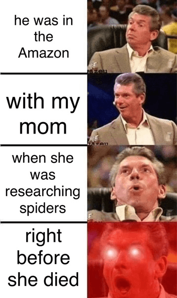 White-tailed spiders: Innocent scapegoat or dangerous super-pest? | The ...