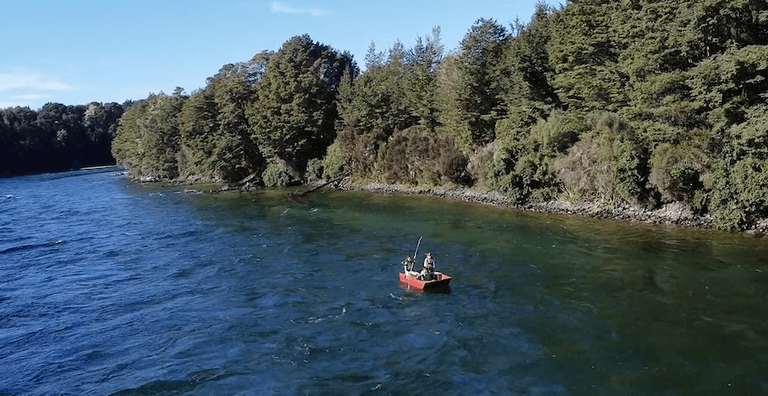 ‘Primary school LOTR’: The principal giving Peter Jackson a run for his ...