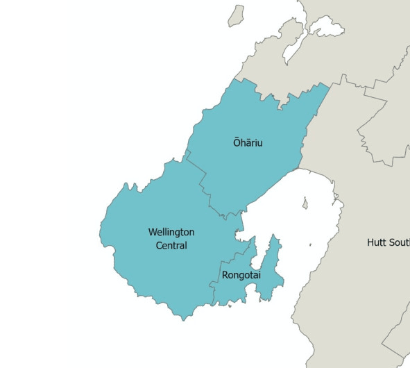 With one electorate set for the chop, could Epsom’s days be numbered ...