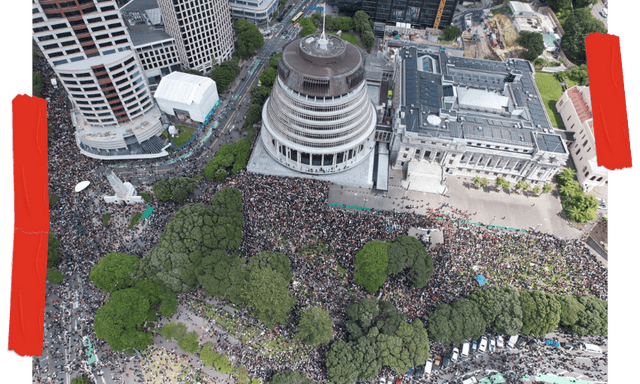 Was the hīkoi New Zealand’s largest-ever protest? | The Spinoff