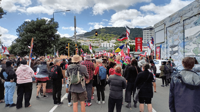 Was the hīkoi New Zealand’s largest-ever protest? | The Spinoff