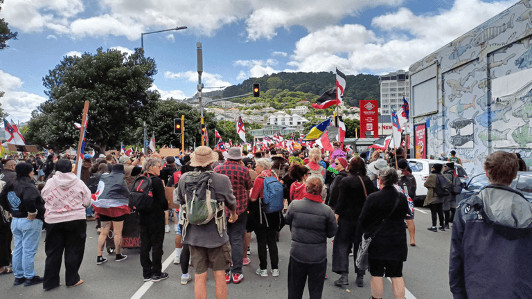 Was the hīkoi New Zealand’s largest-ever protest? | The Spinoff