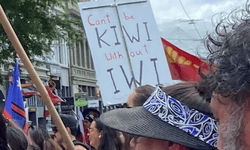 The best signs from the final day of the Toitū Te Tiriti hīkoi | The ...