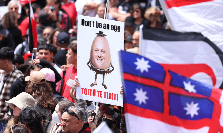 The best signs from the final day of the Toitū Te Tiriti hīkoi | The ...
