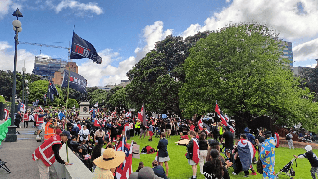 Was the hīkoi New Zealand’s largest-ever protest? | The Spinoff
