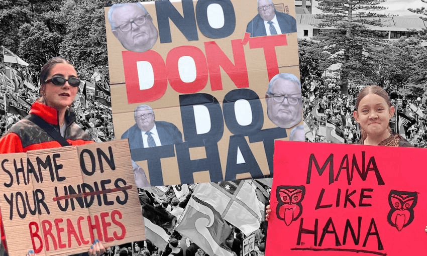 The best signs from the final day of the Toitū Te Tiriti hīkoi | The ...