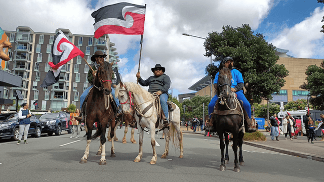 Was the hīkoi New Zealand’s largest-ever protest? | The Spinoff