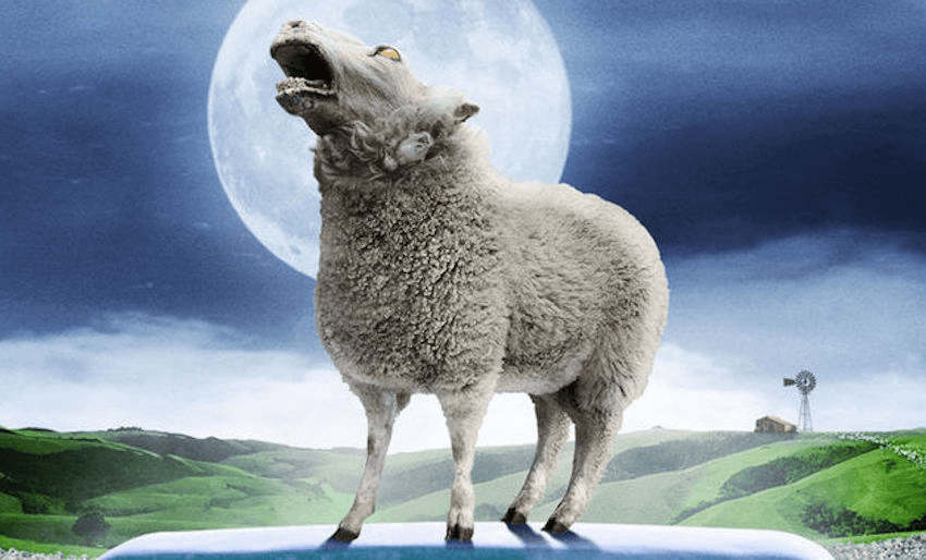 Local cult comedy horror Black Sheep confirmed for a sequel | The Spinoff