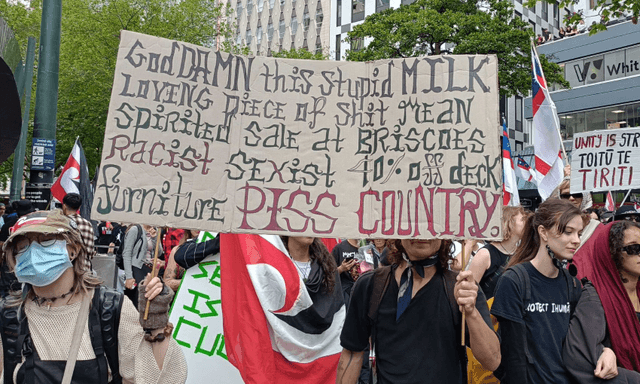 The best signs from the final day of the Toitū Te Tiriti hīkoi | The ...