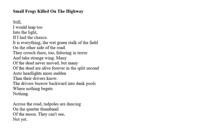 Can poets drive? A sociocultural investigation | The Spinoff