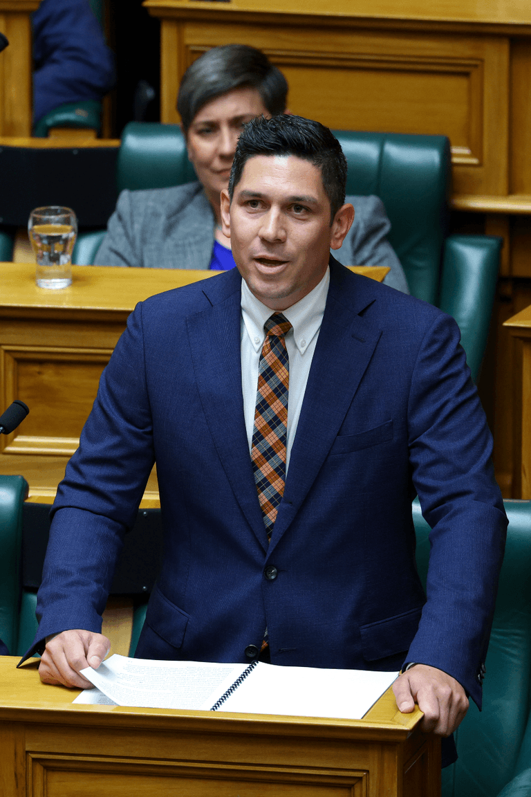 Meet James Meager, the man left holding the treaty principles bill ...