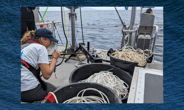 Carbon credits, fish poo and the push to discover the secrets of the ...