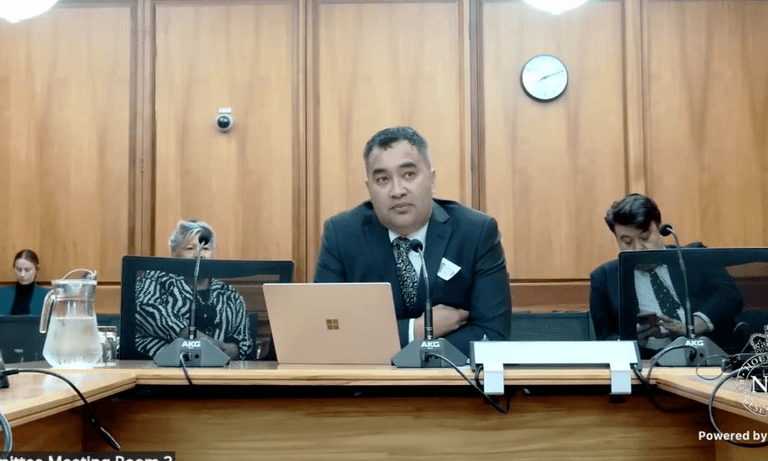Treaty principles bill hearings, day two: Kiri Allan and Sandra Goudie ...