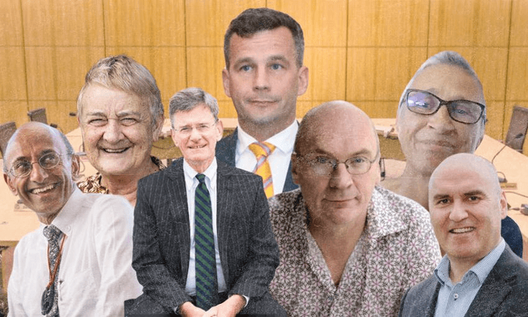 What you missed from day one of the Treaty principles bill select ...